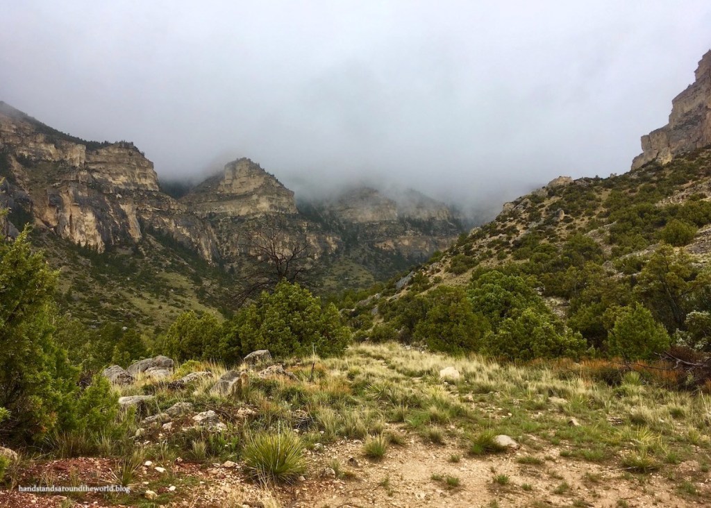 Wild Mustangs and Montana Skies – Bighorn Canyon National Recreation ...