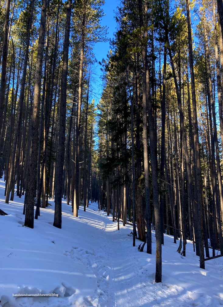 Colorado Day Hikes: Burning Bear Trail – Handstands Around the World