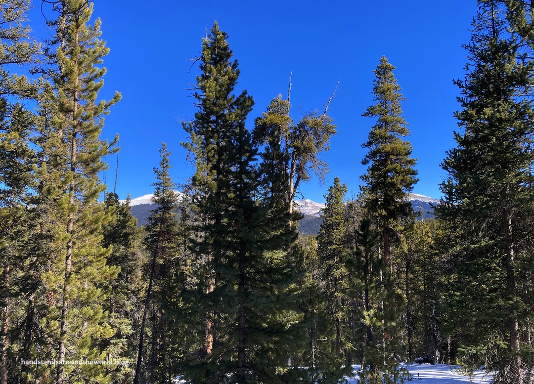 Colorado Day Hikes: Burning Bear Trail – Handstands Around the World