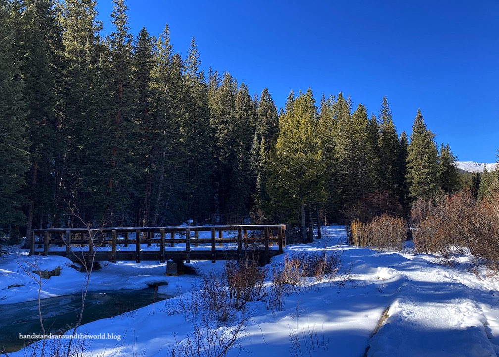 Colorado Day Hikes: Burning Bear Trail – Handstands Around the World
