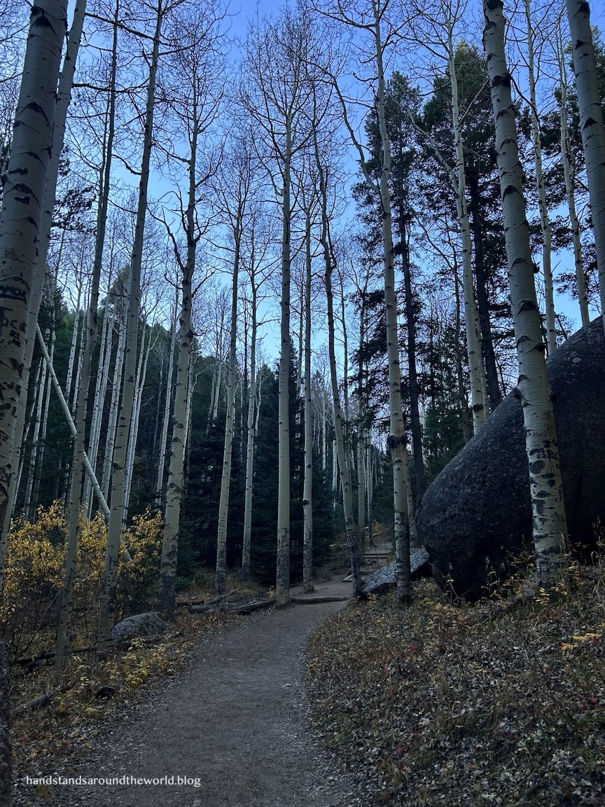 Colorado Day Hikes: Devil’s Head Lookout – Handstands Around the World