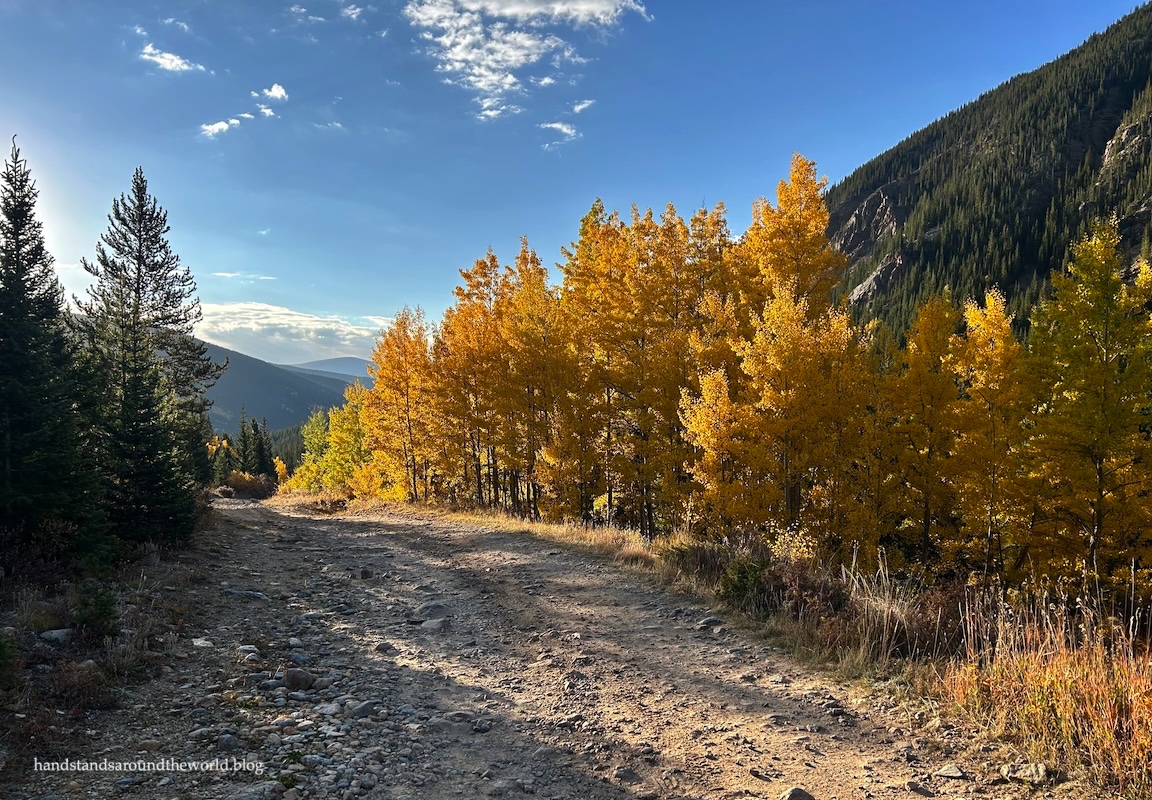 Colorado Day Hikes: Geneva Creek Iron Fens – Handstands Around the World